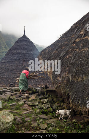 Cone Roof Houses at Wae Rebo, Flores island, Indonesia Stock Photo - Alamy