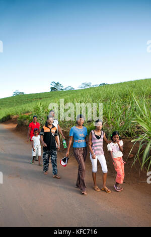 MAURITIUS, Chamarel, a family walks down the road after a visit to see ...