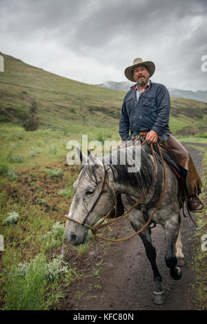 truck on road, rides up over the bridge, industrial infrastructure ...