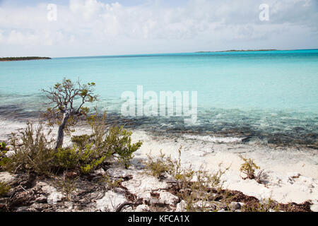 EXUMA, Bahamas. A beach and the coasline of Compass Cay Stock Photo - Alamy