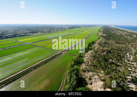 Aerial view of rice fields. Comporta, Alentejo, Portugal Stock Photo ...