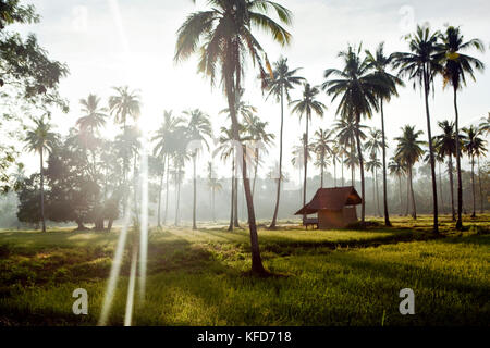PHILIPPINES, Palawan, Sabang, countryside view in the early morning on ...