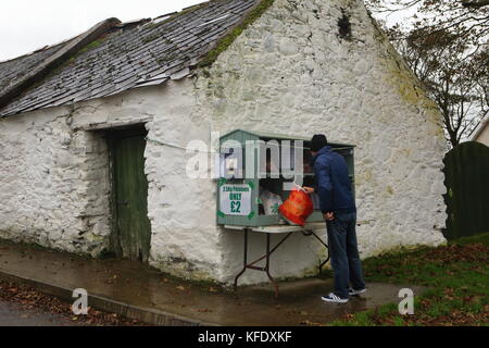 Honesty Stall. A series of unregulated bespoke stalls / shops selling ...