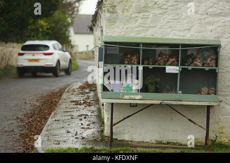 Honesty Stall. A series of unregulated bespoke stalls / shops selling ...