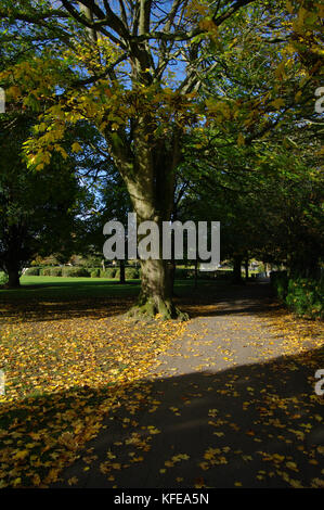 Victoria Park, Frome, Somerset, UK Stock Photo - Alamy