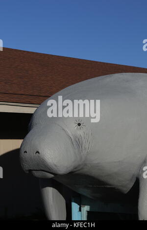 The famous large Manatee statue at the entrance to the Homosassa ...
