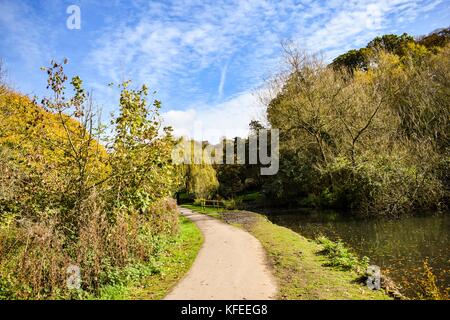 Autumn trees and lake at Ninesprings Country Park Yeovil Somerset UK ...