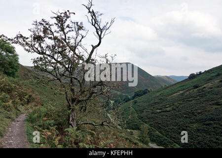 Swimming at Carding Mill Valley Reservoir and the Long Mynd, Shropshire ...