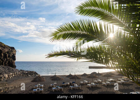 view of the sea and the beach through the leaves of a palm tree summer ...