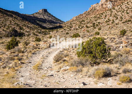 road below west butte in the sweet grass hills near whitlash, montana ...