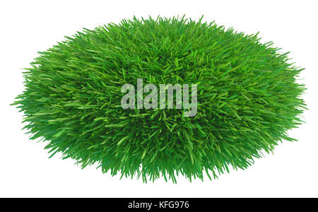 piece of cropped grass to be installed Stock Photo - Alamy