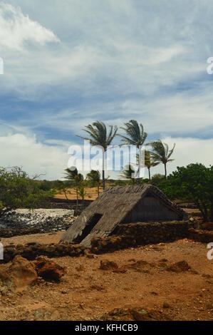 A traditional Hawaiian hut and palm trees in Polynesian Cultural Center ...