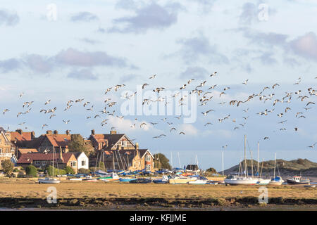 Alnmouth estuary on the Northumberland Coast Path in the winter ...