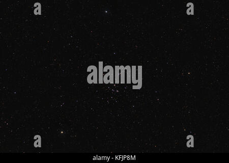 Messier 44, the Beehive Cluster, with stars Asellus Borealis and ...