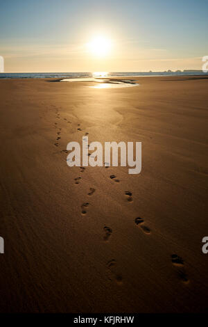 leave nothing but your footprints on the beach, environmental ...