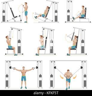 Gym exercises machines sports equipment. Vector Illustration Stock ...