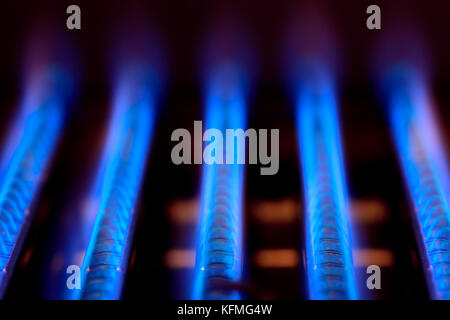 Blue flames of a gas burner inside of a boiler Stock Photo - Alamy