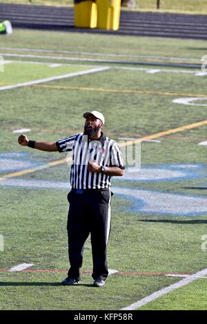 Football referee making a call Stock Photo - Alamy