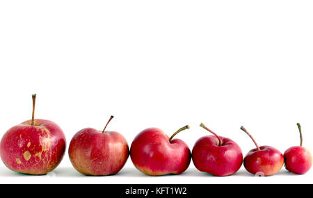 big and small red apples isolated on white Stock Photo - Alamy
