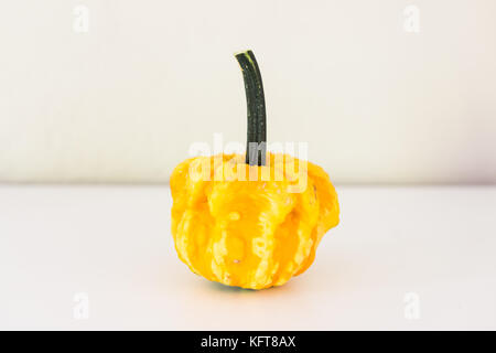 Small, orange striped, bumpy pumpkin or squash on clean neutral ...