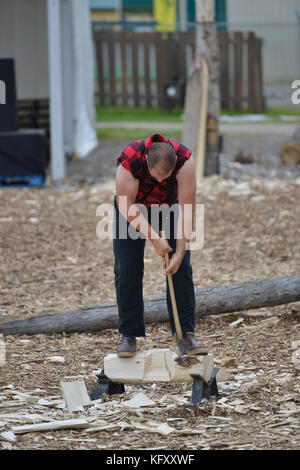 Lumberjack, wood chopping, woodchopper, wood chopper, show, Alaska ...