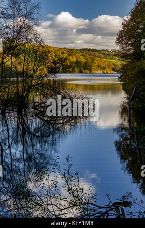View over Agden reservoir Stock Photo - Alamy