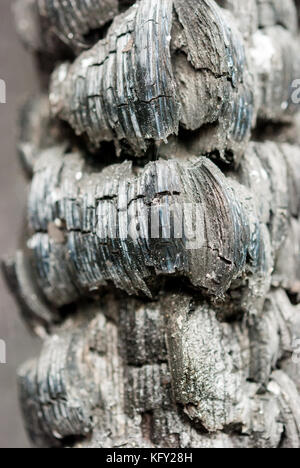 Window in burned house Stock Photo - Alamy