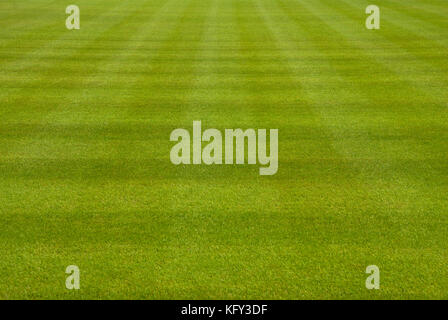 Immaculate Mowed Green Lawn Stock Photo - Alamy