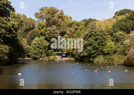 Swimmers at the Mixed Bathing Pond on Hampstead Heath London Stock ...