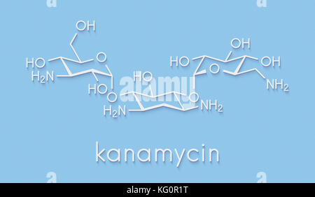 Kanamycin antibiotic drug molecule (aminoglycoside) Atoms are ...