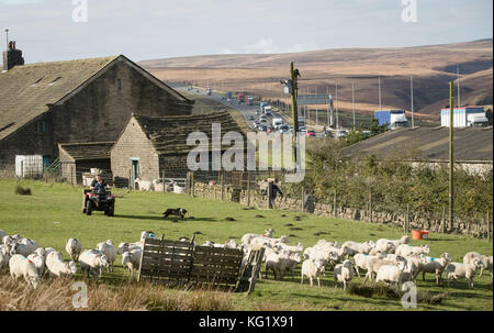 Farmer Paul Thorp with his son John Thorp at Stott Hall farm near ...