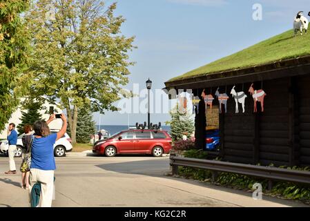 Famous goats on the sod roof at Al Johnson's Swedish Restaurant in the ...