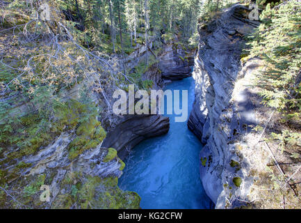 the athabasca river flows through cavernous canyons Stock Photo - Alamy