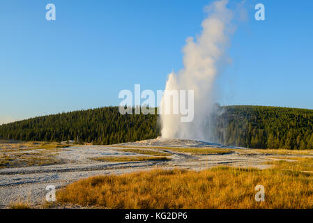 Hot spring explosion. Old Faithful Geyser, Yellowstone National Park ...