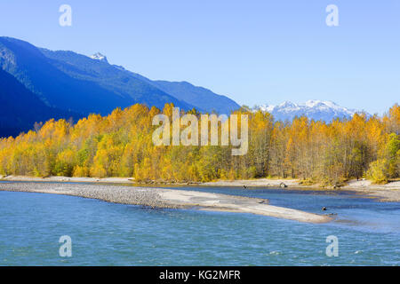 View from Eagle Run Park, Squamish River, Brackendale, British Columbia ...