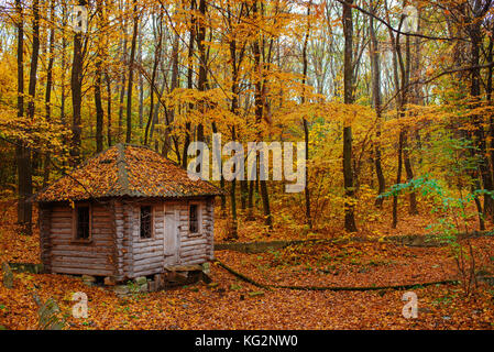 Remoted old wooden shack of ranger in autumn forest Stock Photo - Alamy