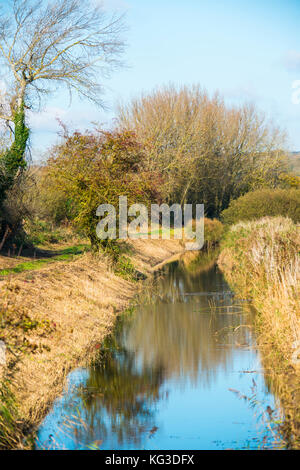 Reedbed management, reed cutting and management for wildlife ...