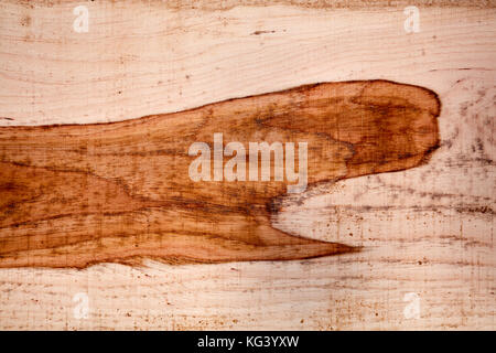 Freshly cut and milled wood texture in a full frame view of the surface ...