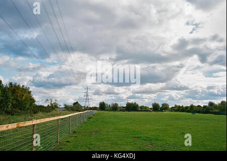 Walthamstow Marshes nature reserve, London England United Kingdom UK ...