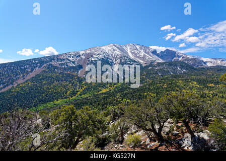 Jeff Davis Peak in fall colors Stock Photo - Alamy