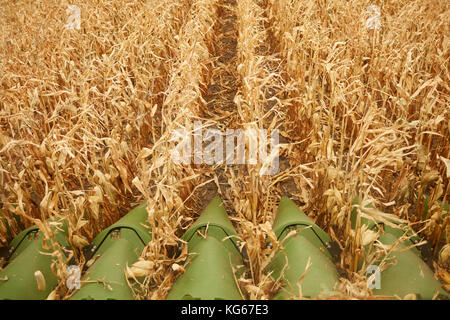 Harvester cutter bar Stock Photo - Alamy