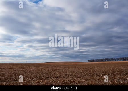 Dry paddock after wheat harvest with trees on rocky rise in background ...