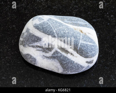 specimen of natural tumbled gneiss mineral cutout on white background ...