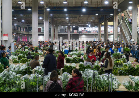 Flower market in Kunming, Yunnan province, China Stock Photo - Alamy