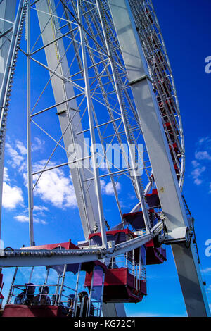The giant Ferris Wheel at the Chicago World's Fair in 1893 (aka Chicago ...