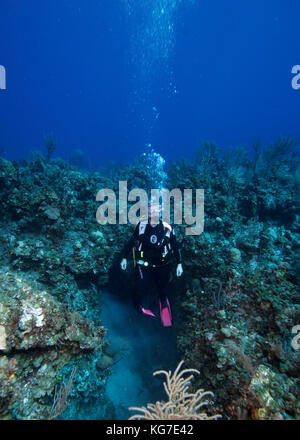 Diver emerging from reef cave, Exumas, Bahama Islands Stock Photo - Alamy