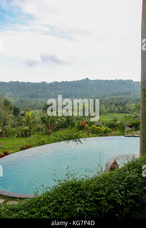 Swimming pool overlooking paddy-rice fields - Bali - Indonesia Stock ...