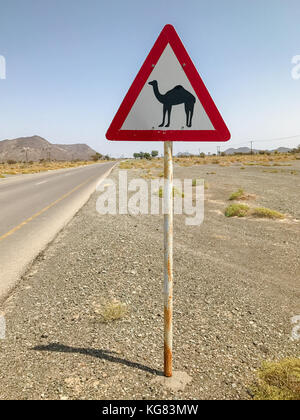 Camel warning traffic sign, Oman Stock Photo - Alamy
