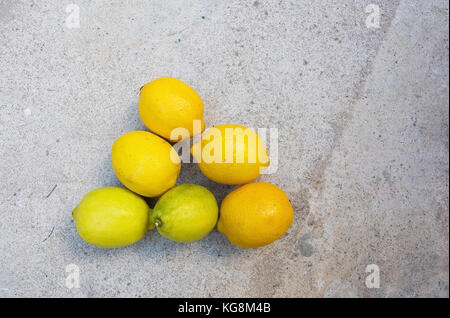 Lemons in various stages of ripening. A fruiting lemon tree. Wallpaper ...