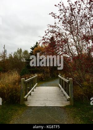 Fall Colors of Maple Tree Lined Path in Oregon Stock Photo - Alamy